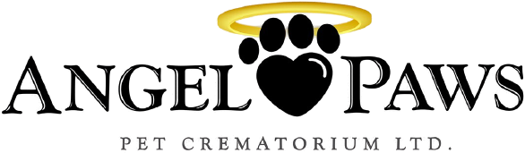 About Us - Angel Paws