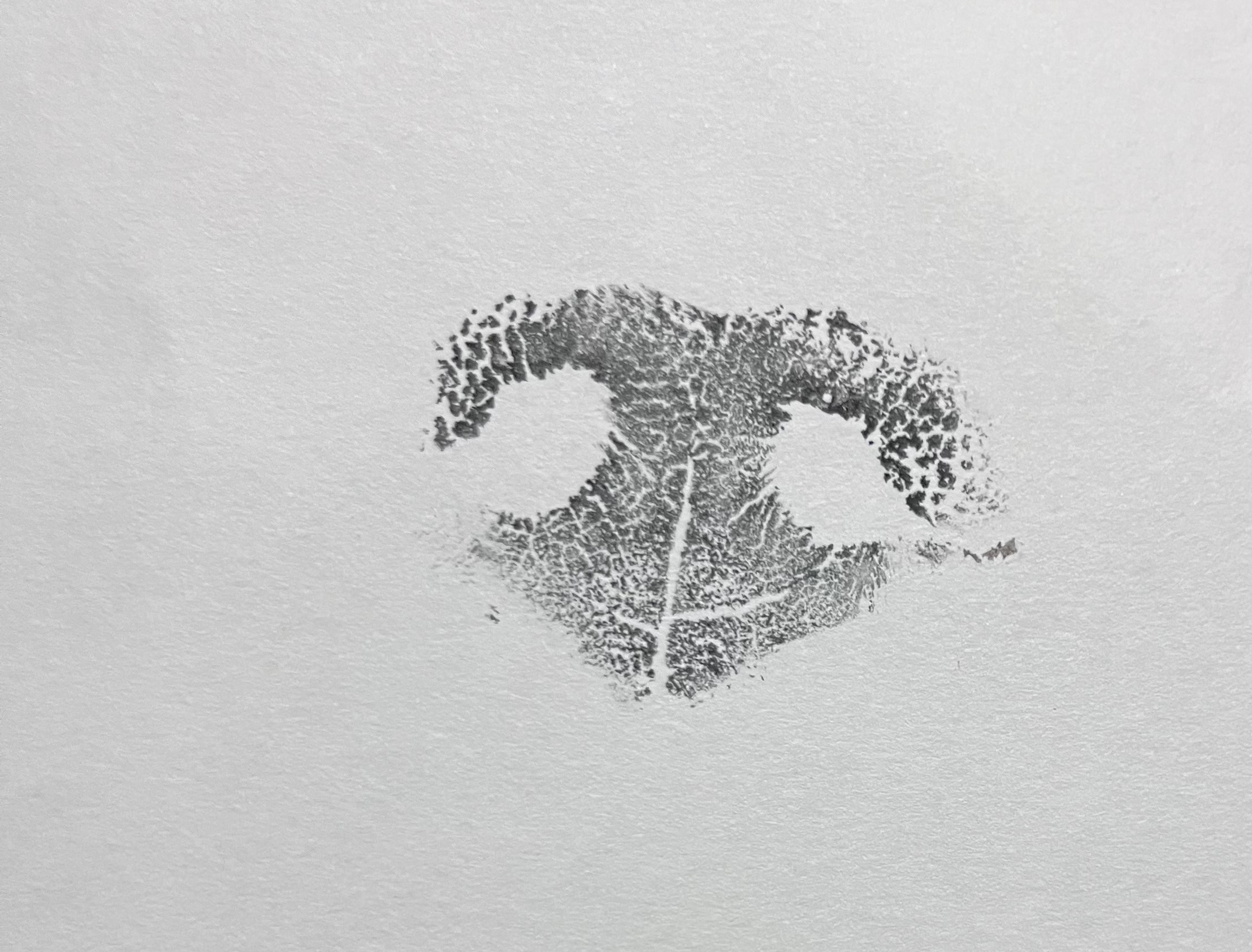 Ink Nose Print - Angel Paws