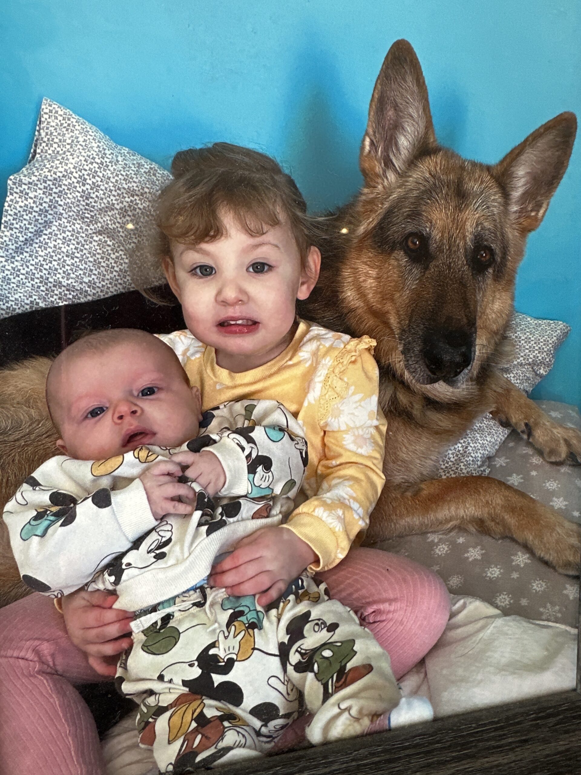Griffin - Angel Paws
